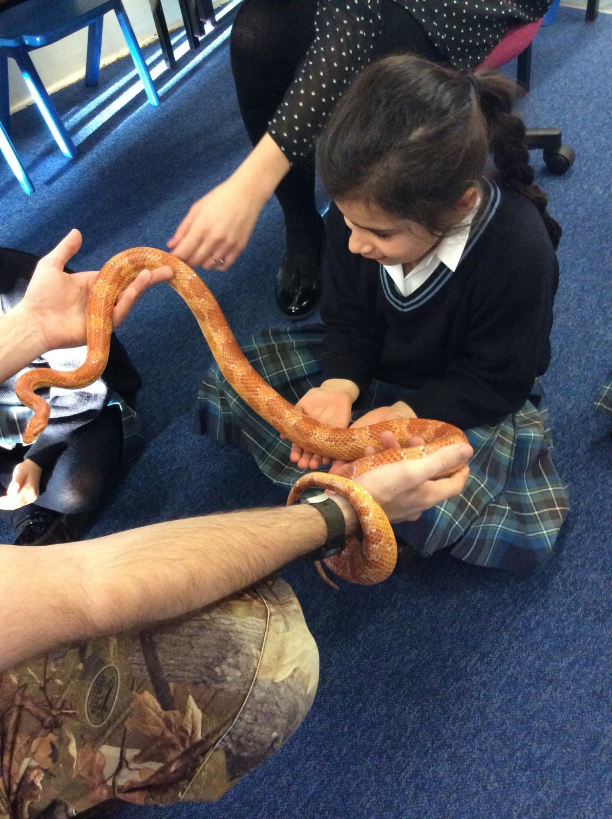 Animal magic for Year 1 with a visit from Zoolab 9.1.19 - Leicester ...