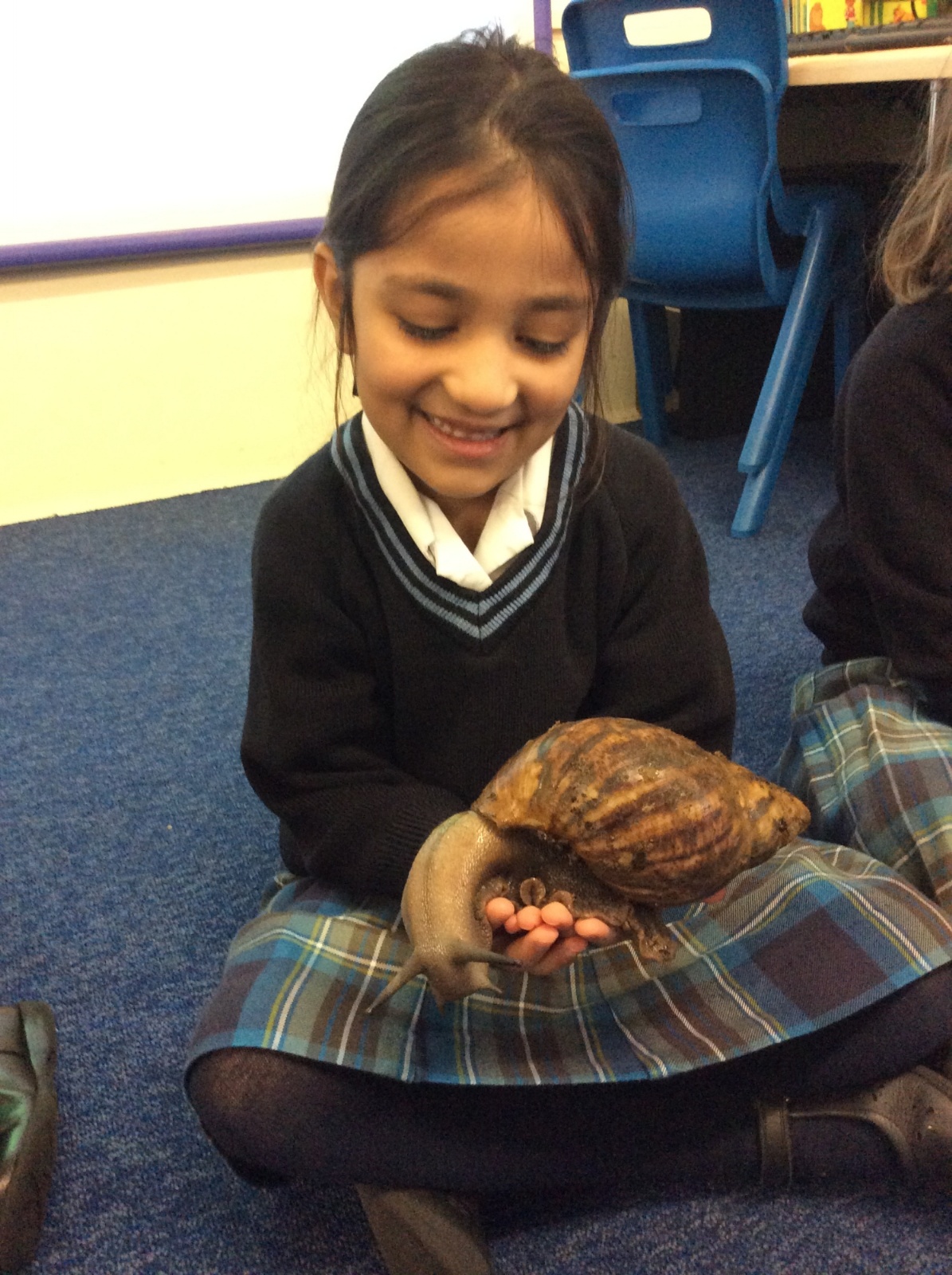 Animal magic for Year 1 with a visit from Zoolab 9.1.19 - Leicester ...