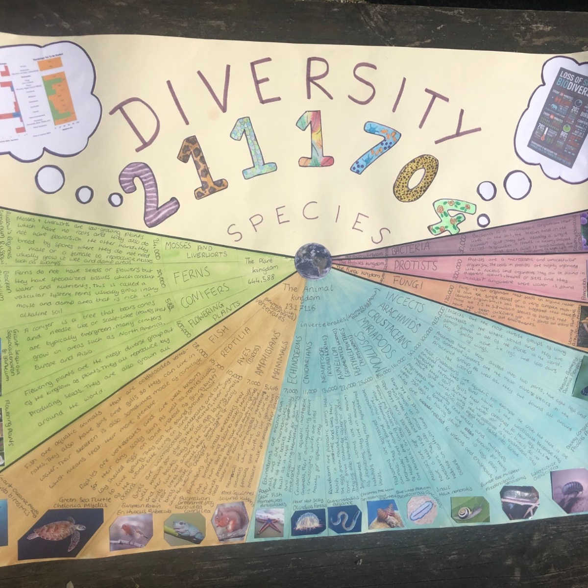 Poster competition success! - Leicester High School for Girls