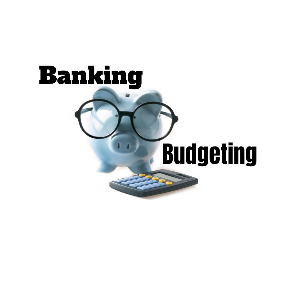 Banking and Budgeting with HSBC - Leicester High School for Girls