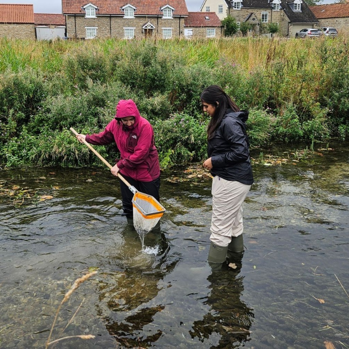 Biology Fieldwork Adventure