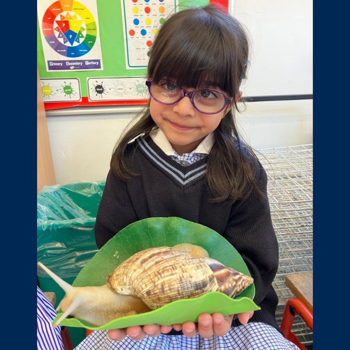| EYFS | Enrichment | Matt’s Minibeasts and Friends | Primary Education