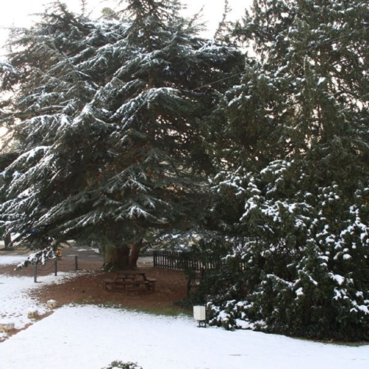 Snowy School 12.12.17 - Leicester High School for Girls